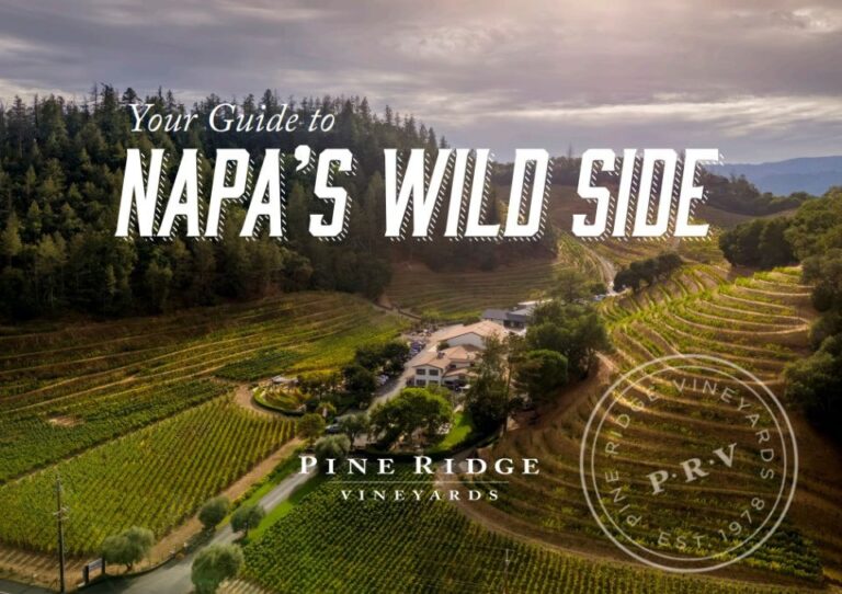 Napa Valley Adventure Guide - Pine Ridge Vineyards